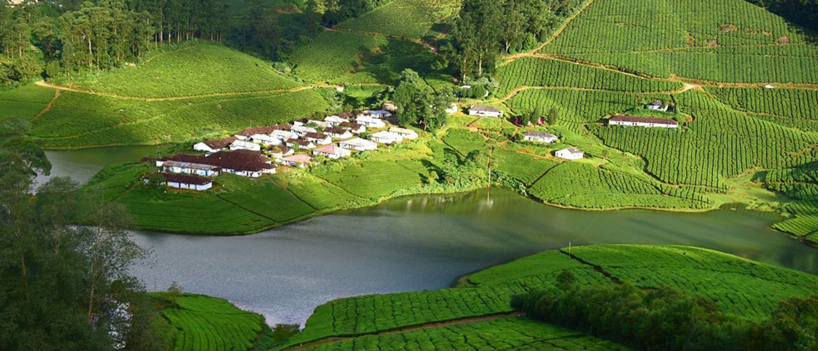 Megamalai - Travel Toons Holiday Services